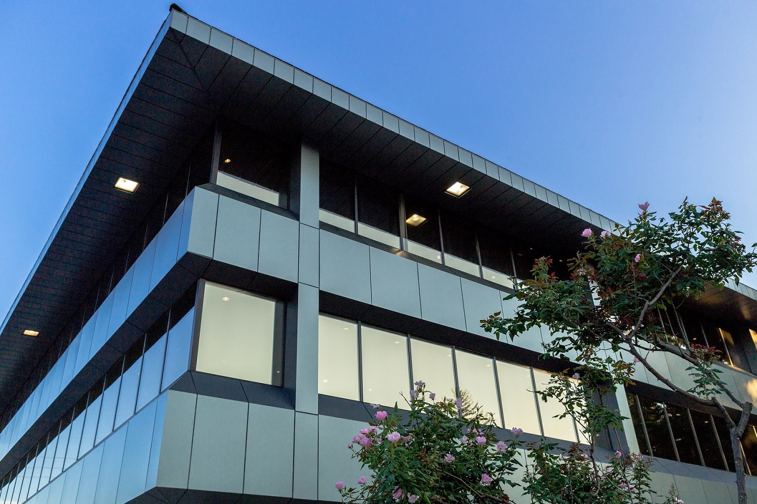 Danny Govberg Talks About His New Headquarters And Becoming A Luxury ...